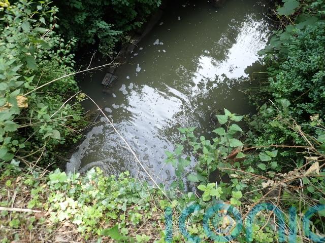 Southern Water fined £330,000 for stream pollution that killed 2,000 ...