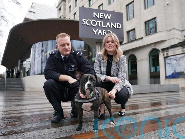 Puppy gets new home with Met police officer who rescued her from ...