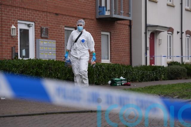 Man remains in custody after two die and two injured in Christmas Day ...