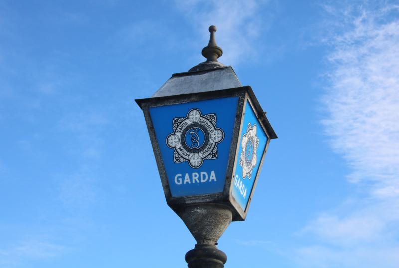Carlow TD calls out for more Gardaí resources to be made available for ...