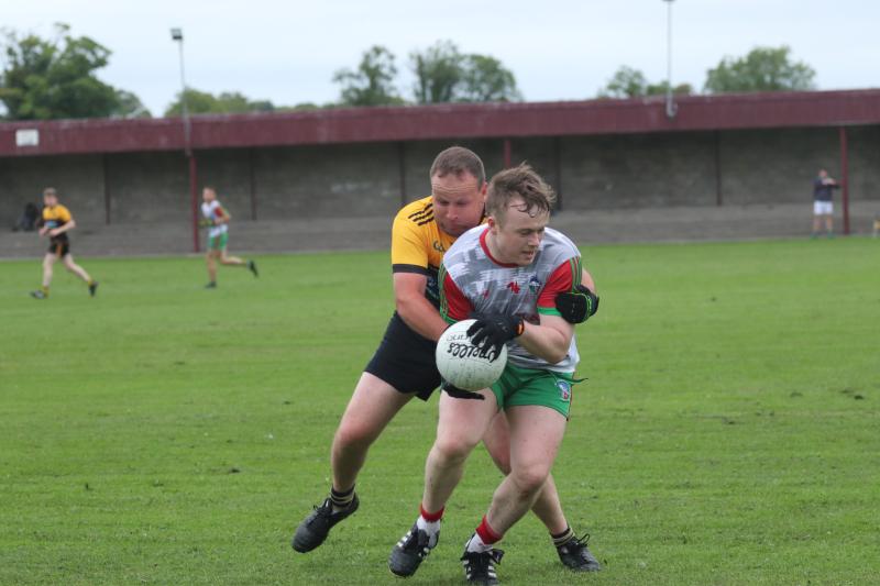 Solohead see off Arravale in Maria Marron Palmers Hill Stud West ...