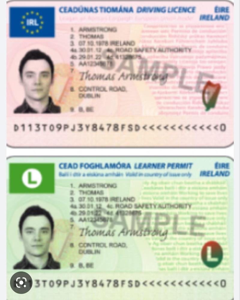 Gardaí warn people in Kilkenny about using fake driving licences ...