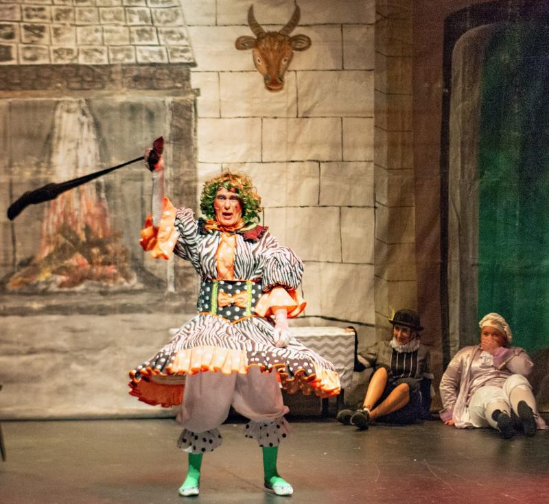 BIG READ: Pantomime Society's Cinderella wows audiences at Tipperary ...