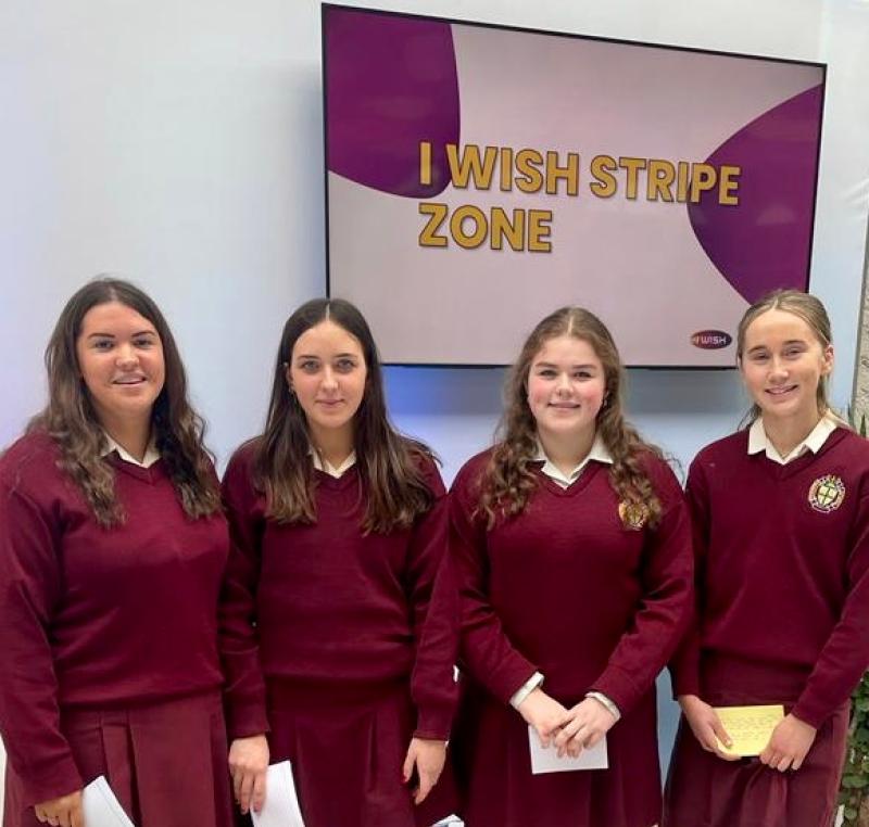 Presentation Thurles entrepreneurs pitch their ideas at the RDS in ...