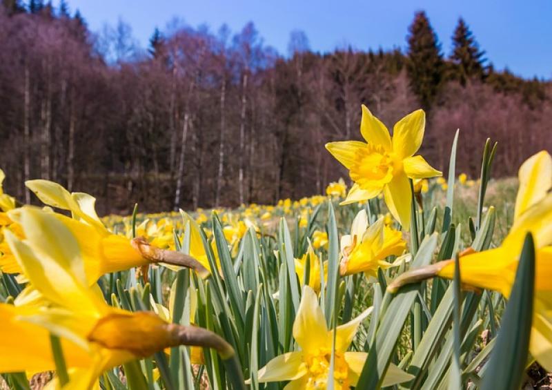 What's the Easter weather forecast? Met Éireann has the latest ...