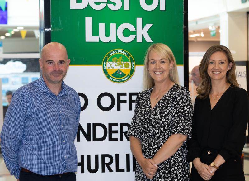 Offaly Social Democrats councillor reveals she hopes to run for Dail ...