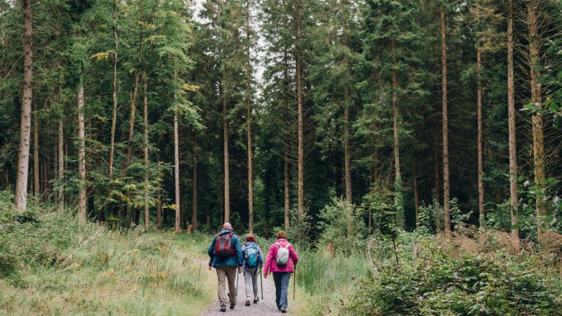 New glamping plan for Offaly site on Slieve Blooms - Ireland Live