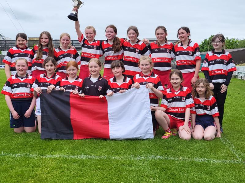 Memorable moments: Offaly National School's inspiring year in review ...