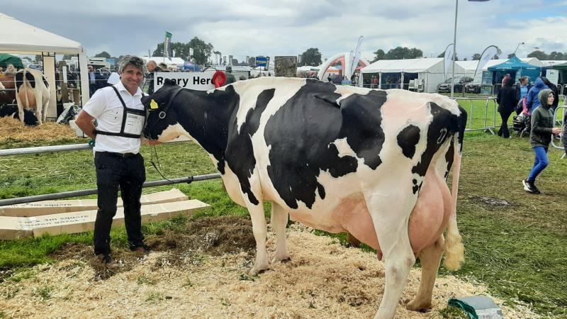 Kevin's Clonaslee cows cream of crop at Tullamore Show - Ireland Live