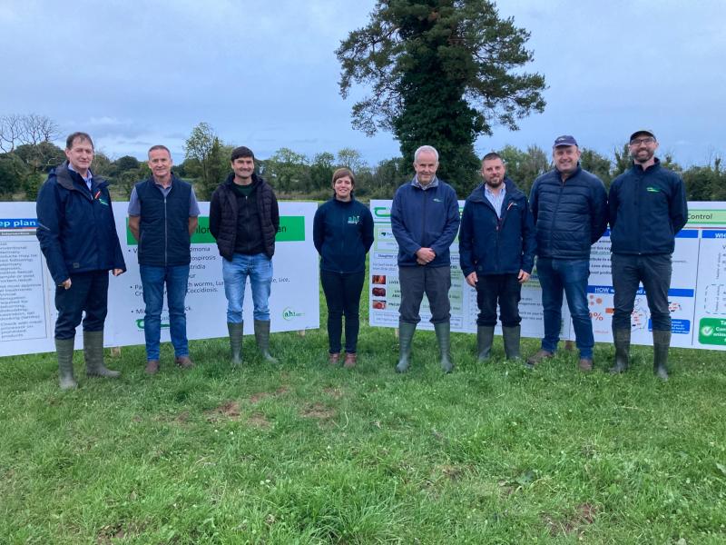 ‘Getting Winter Ready’ walk on Longford farm - Ireland Live