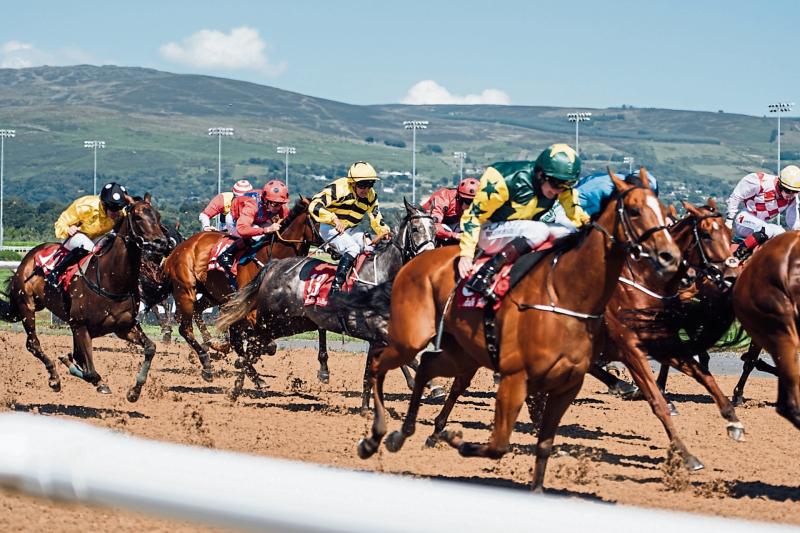 Win for Golden Twilight at Dundalk Stadium would have topped Lynch ...