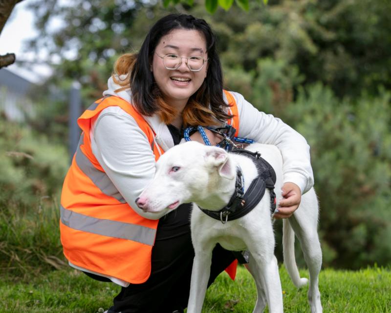 Two Limerick groups shortlisted in Permanent TSB Community Fund - Ireland Live