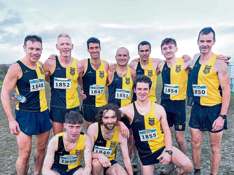Harriers ready to race against Europe’s best - Ireland Live
