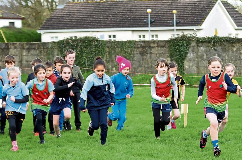 Athletics- New club Nuenna making great strides - Ireland Live