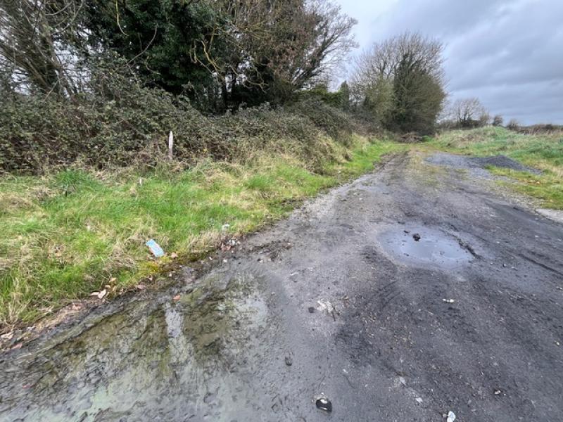 Laois election candidate calls for safety measures at dangerous ...