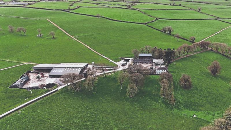 Multi-million euro Limerick dairy farm is up for auction - Ireland Live