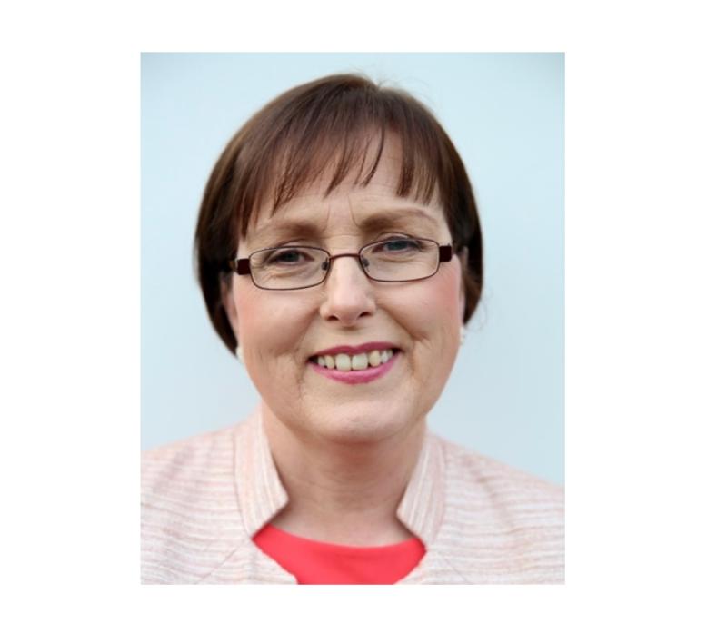 Louth councillors reject one poster per candidate proposal - Ireland Live