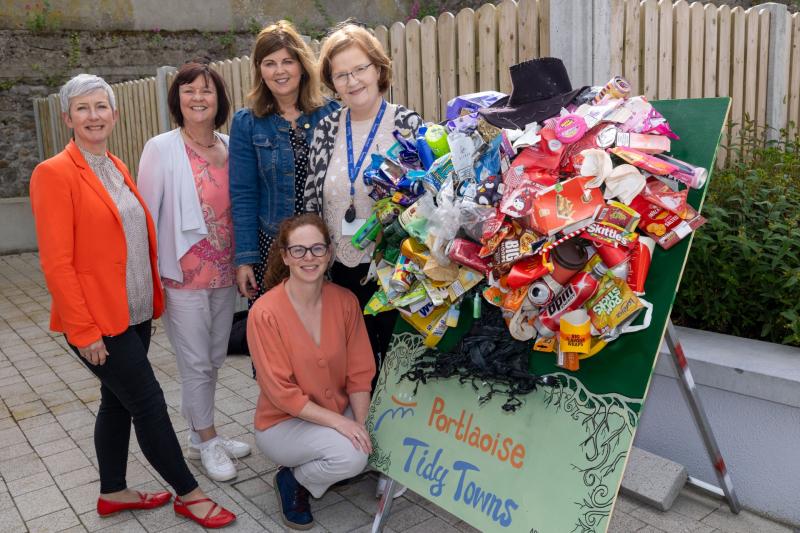 Portlaoise exhibition blends art and climate action - Ireland Live