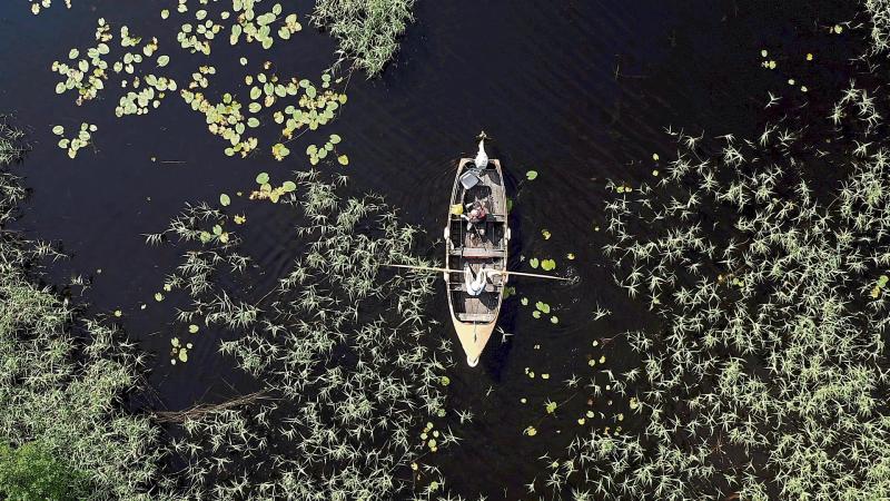 Longford's Lee triumphs with photo of Lough Ree - Ireland Live