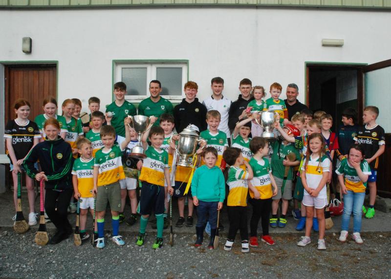 Offaly GAA club hosts celebratory event to welcome Offaly hurling ...