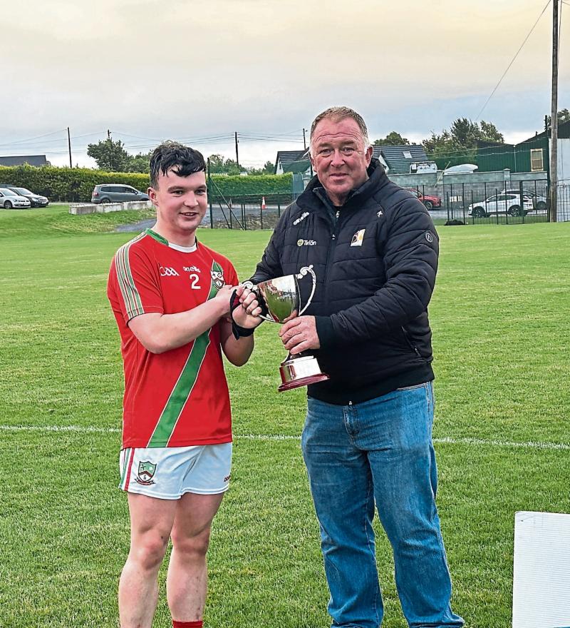 St Martin's too strong for Carlow Town in Junior Hurling League Final ...