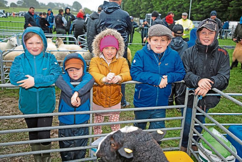 Longford Summer: Launch of the 73rd Granard’s Agricultural Show ...
