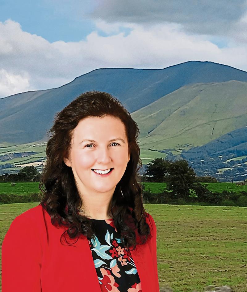 Limerick solicitor to contest Dail election in city constituency ...