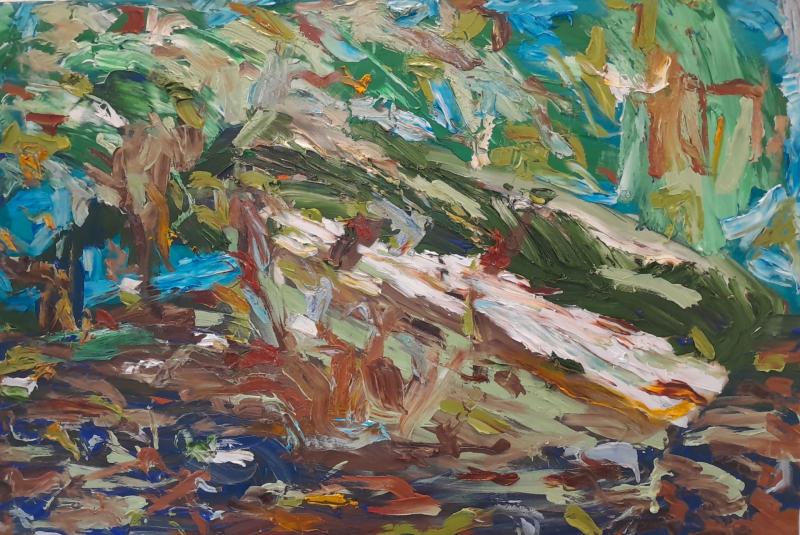 Clare Museum to host debut show of Clare-based visual artist and ...