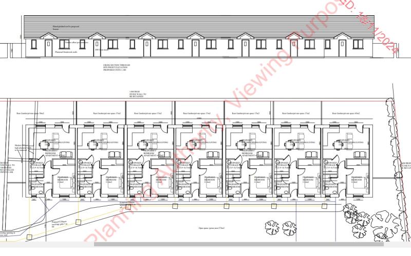 New plan for seven small social homes behind Laois protected structure ...