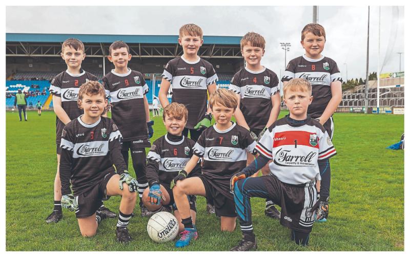 Ambitious plans unveiled for new community centre at rural Laois GAA ...