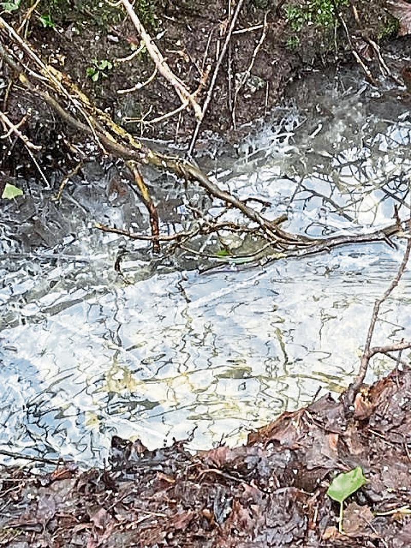 Longford family highlight 'unhealthy' and 'dangerous' pollution of ...