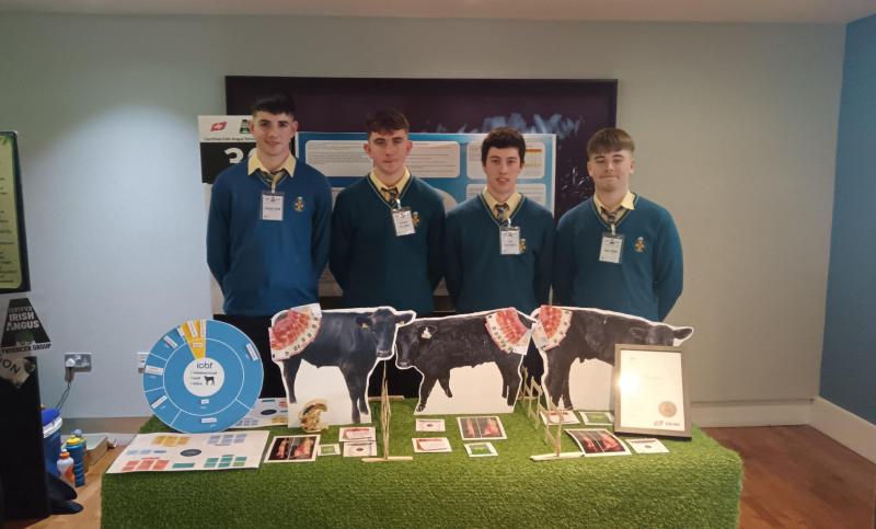 Tipperary students participate in national angus beef competition ...