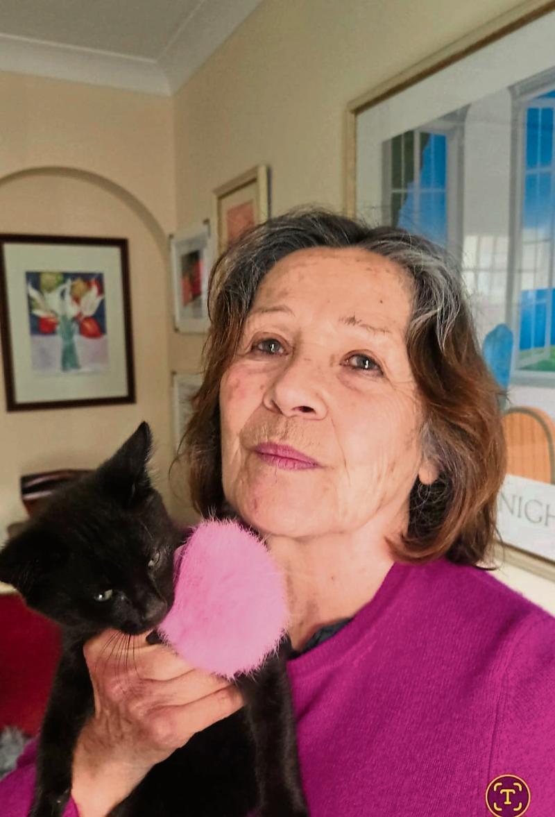 Watercolour gems with Limerick artist Eva set for first exhibition ...