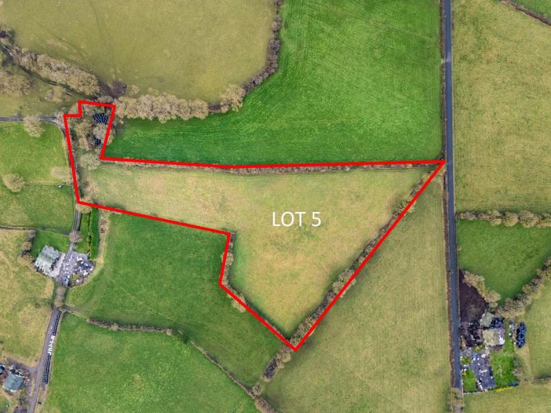 Parcel of land in Offaly shaped remarkably like mythical creature now ...