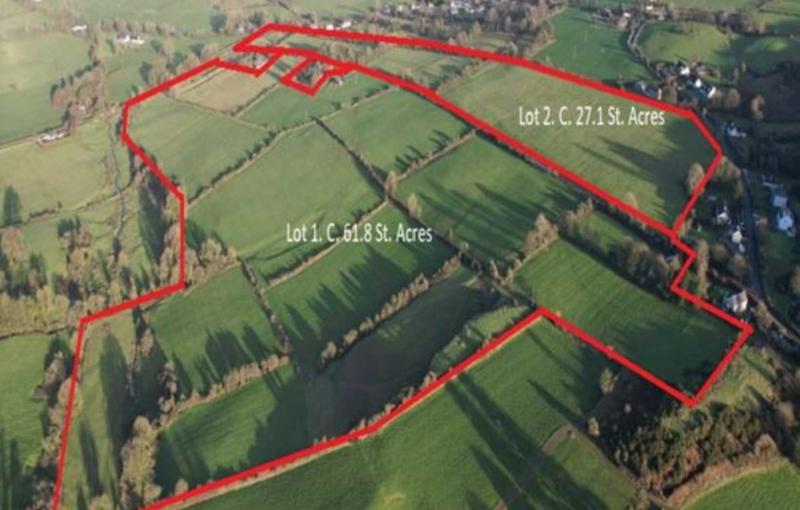 Strong start to the new auction season as Limerick farm sells for €1.4m ...