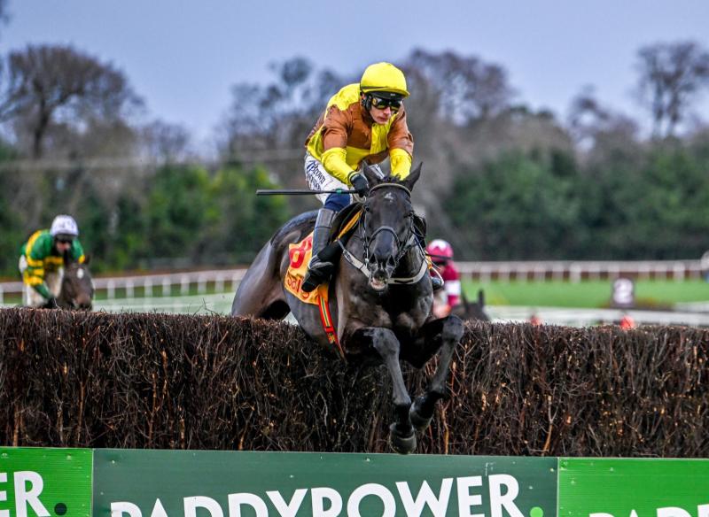 Festival feast of racing over busy Christmas period - Ireland Live