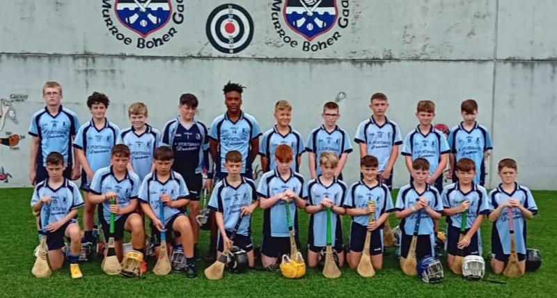 Nenagh Éire Óg club's pitch development work nears completion with ...