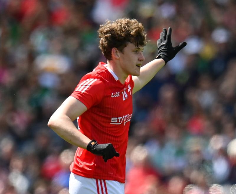 Joe Carroll: Many Louth players’ lineage filled with winners - Ireland Live