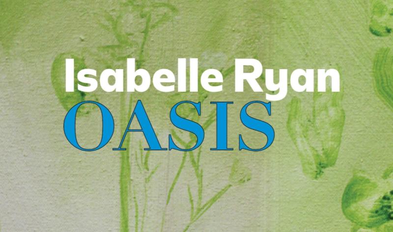 An oasis of Irish art at Limerick museum - Ireland Live