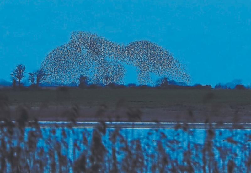 Tullamore photographer captures picture of absolutely spectacular ...