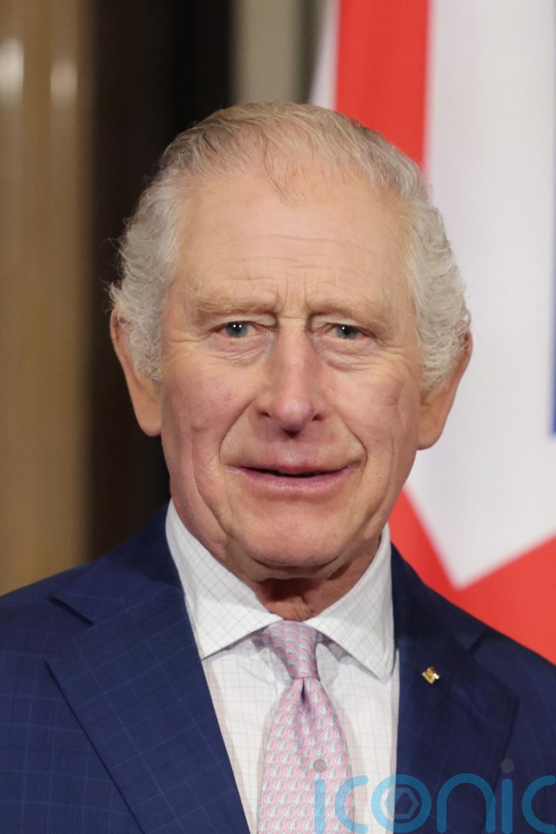 Public authorities to get a free official portrait of the King ...