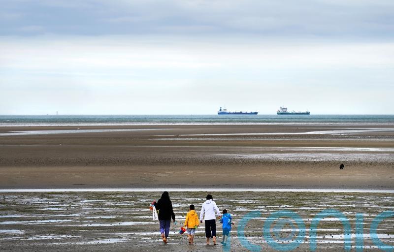 Census figures show Louth population has increased by 8.4% - Ireland Live